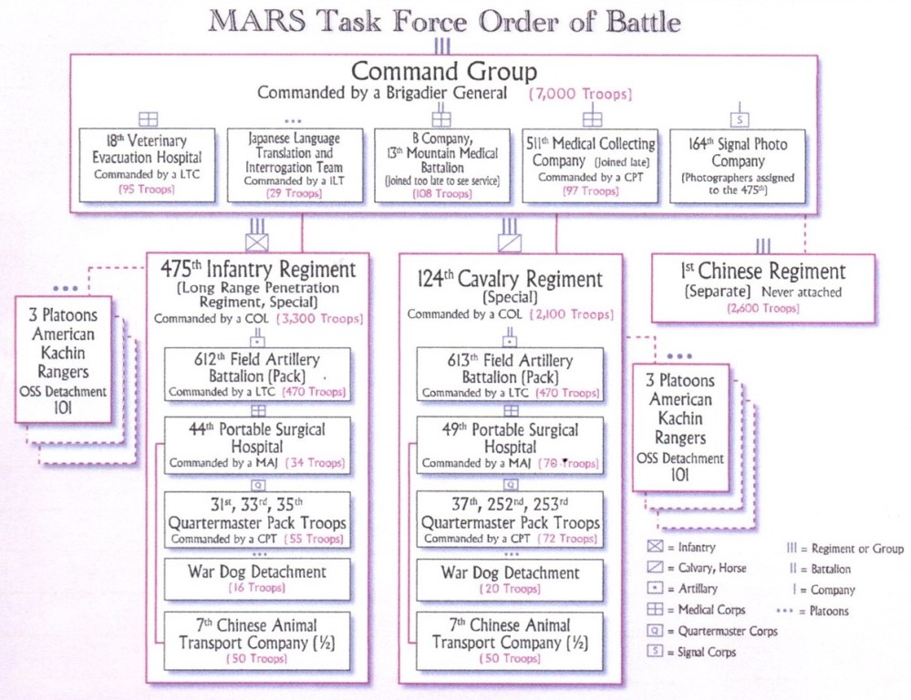 MARS Task Force