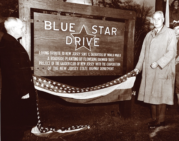 Blue Star Memorial Highways