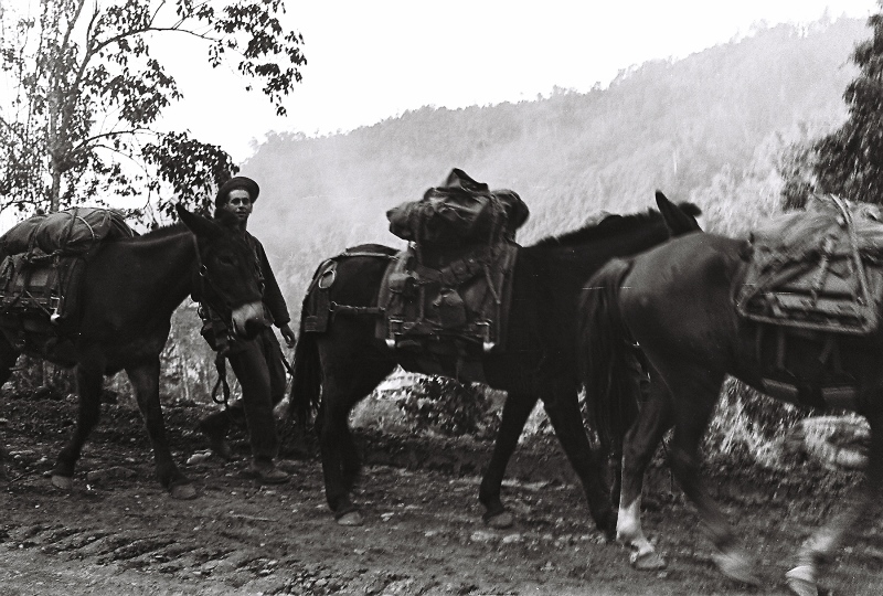 Milford Zornes Along the Ledo Road - CBI Theater of World War II